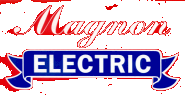 Welcome to Magnon Electric